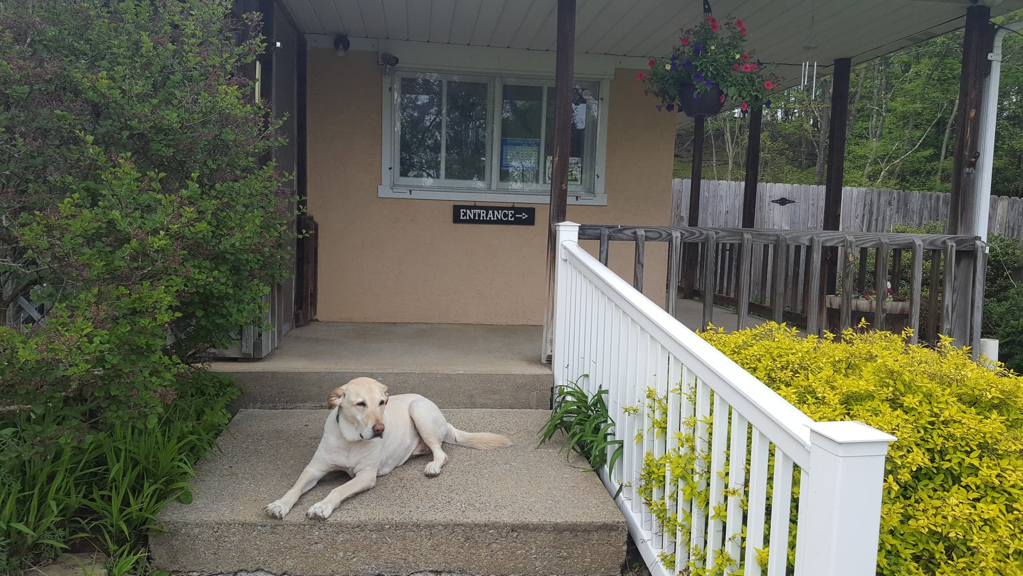 About Us – Brickyard Kennels